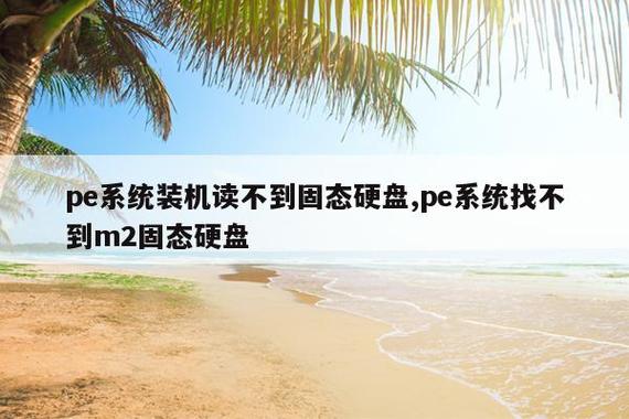 m2固态硬盘pe不认硬盘图标