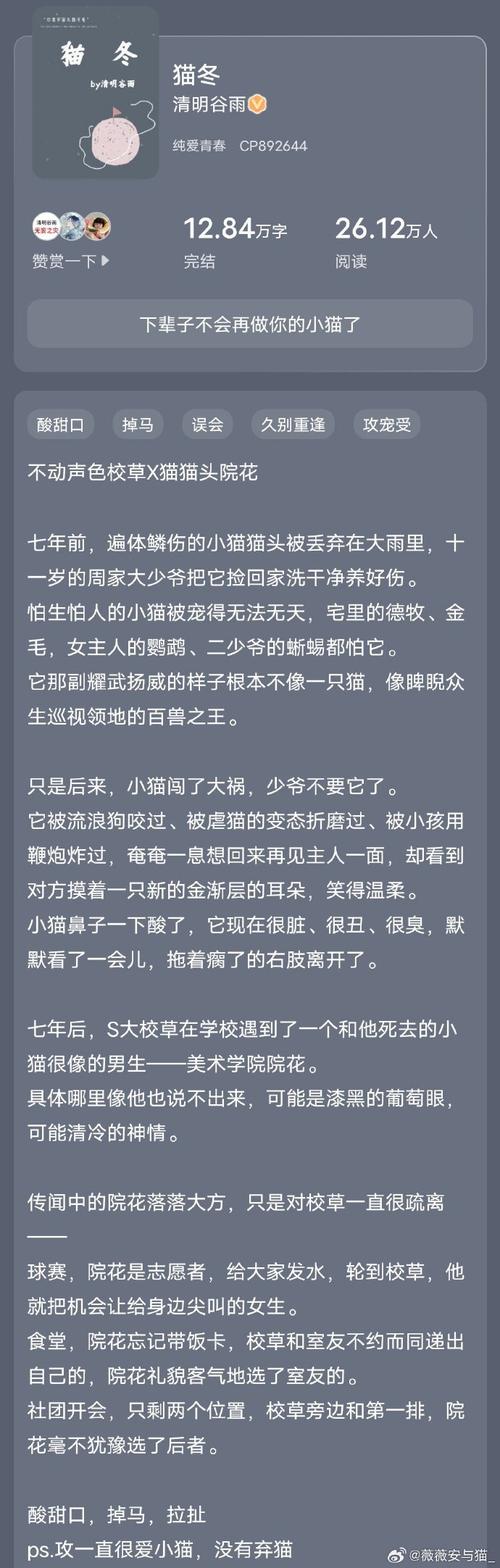谁之过猫猫小说在线阅读图标