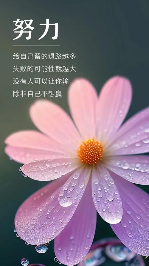 关于正能量