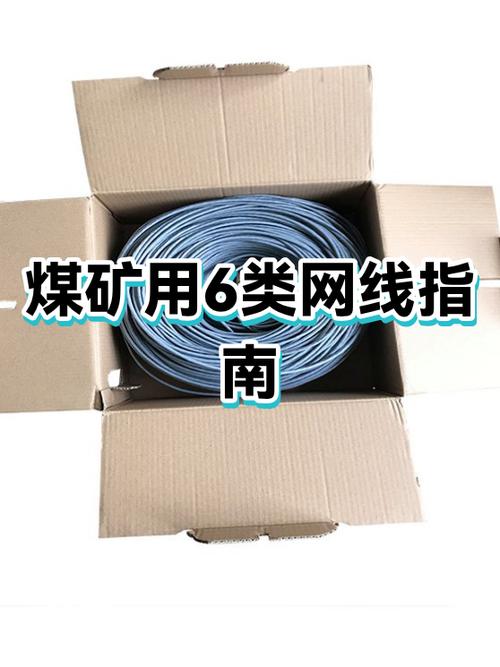 什么叫六类网线图标