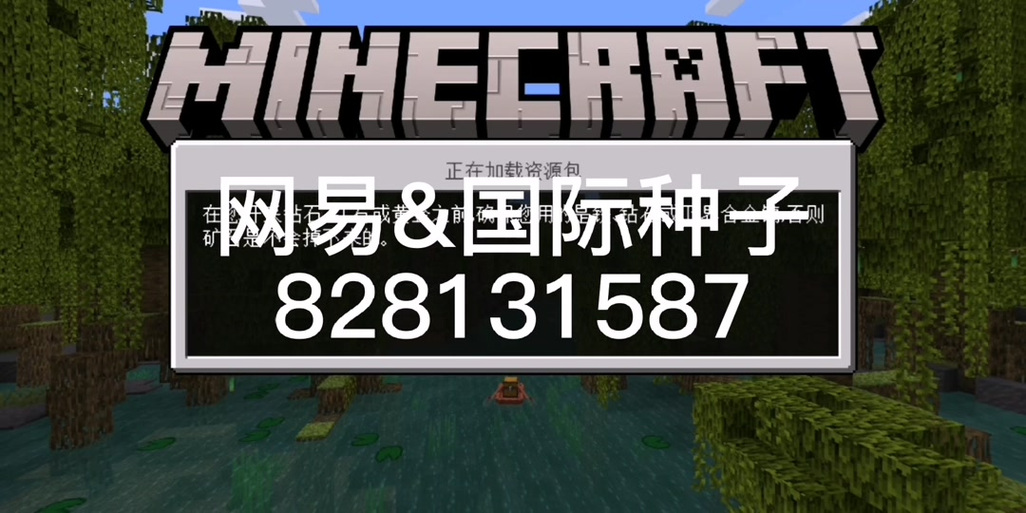 我的世界开局神装的种子图标