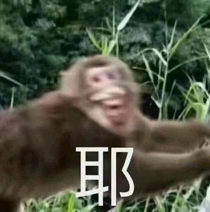 猴子表情截图