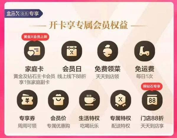 会员权益包是什么意思图标