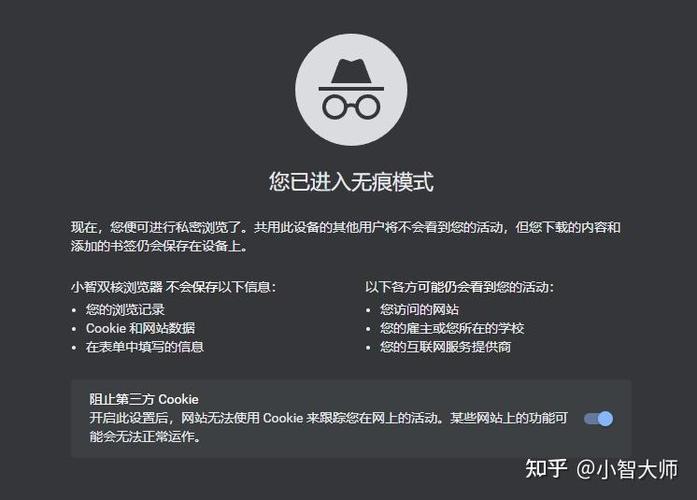 无痕浏览真的无痕吗缩略图
