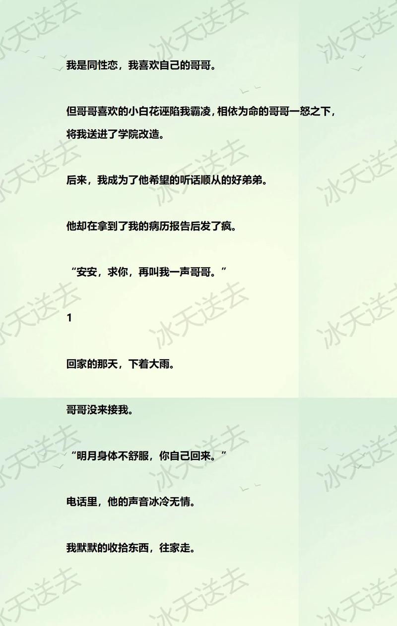 锐文小说截图