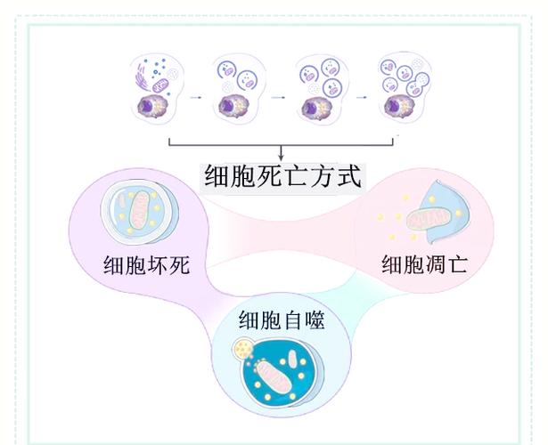 生物互相伤害的详细步骤