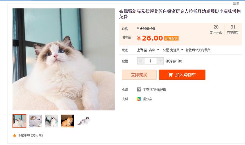 淘宝10元领养猫是真的吗图标