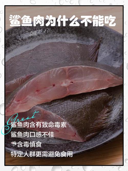鲨鱼肉是致癌的第一位截图