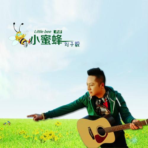 小蜜蜂可以直接插手机唱歌么截图