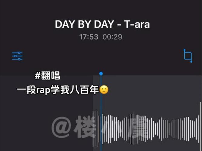 day by day 翻唱图标