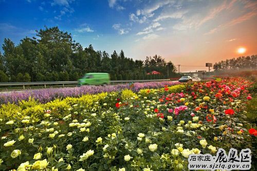 十里花陌截图