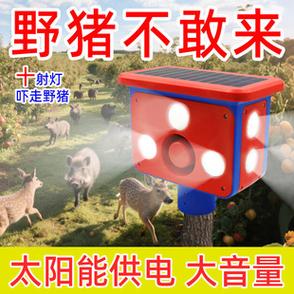 吓跑野猪的最好办法图标