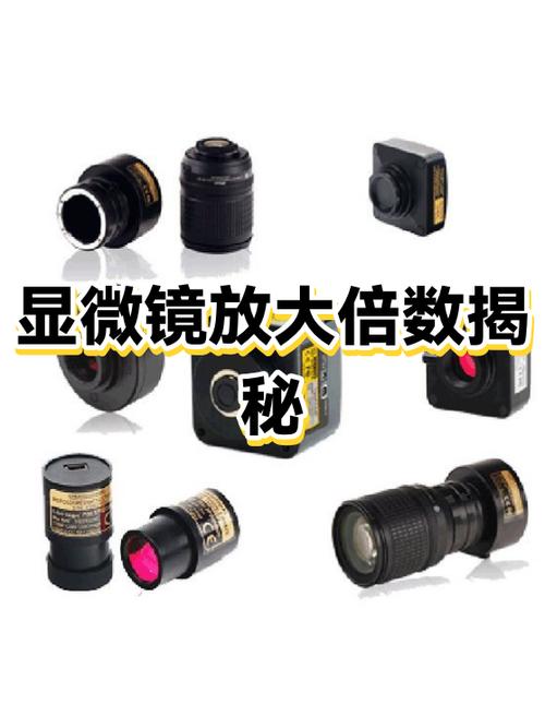 相机放大倍数图标