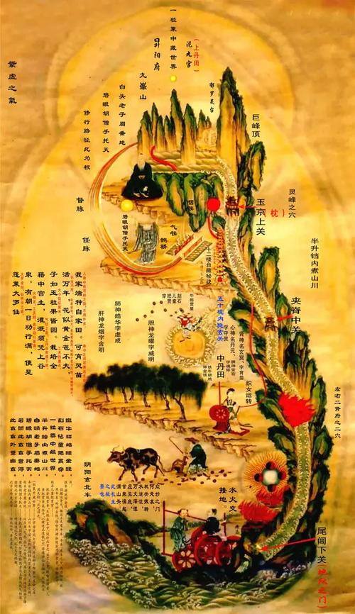 金丹和内丹的区别图标