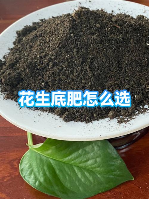 花生笨和豆笨哪个肥效好图标