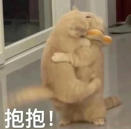 恋爱专用表情包图标