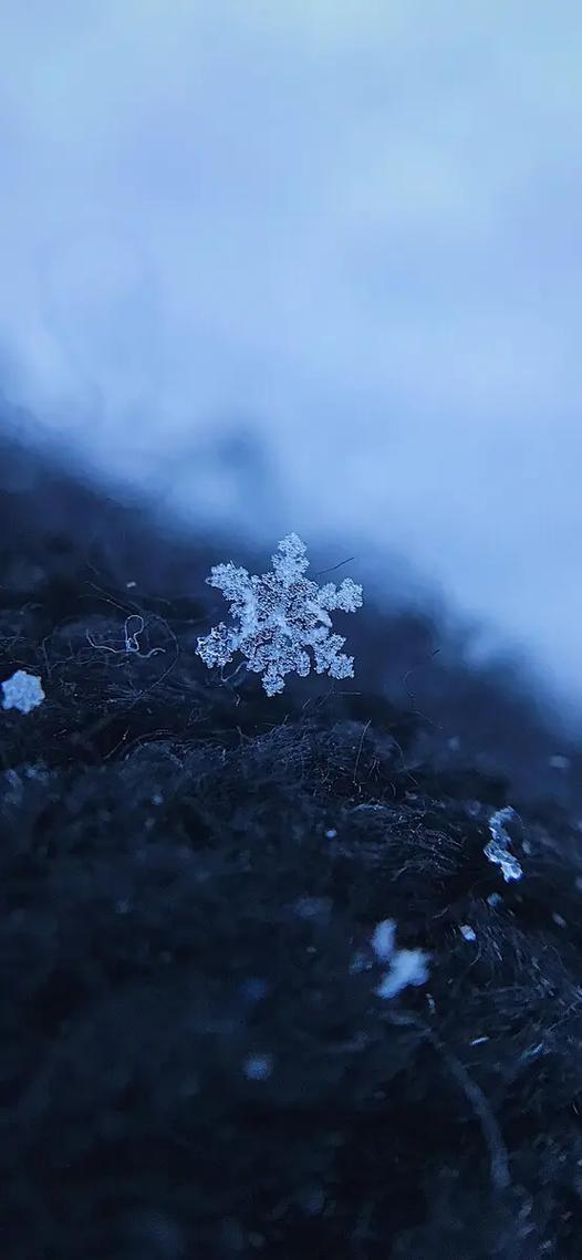 雪花公益内核(免root)图标