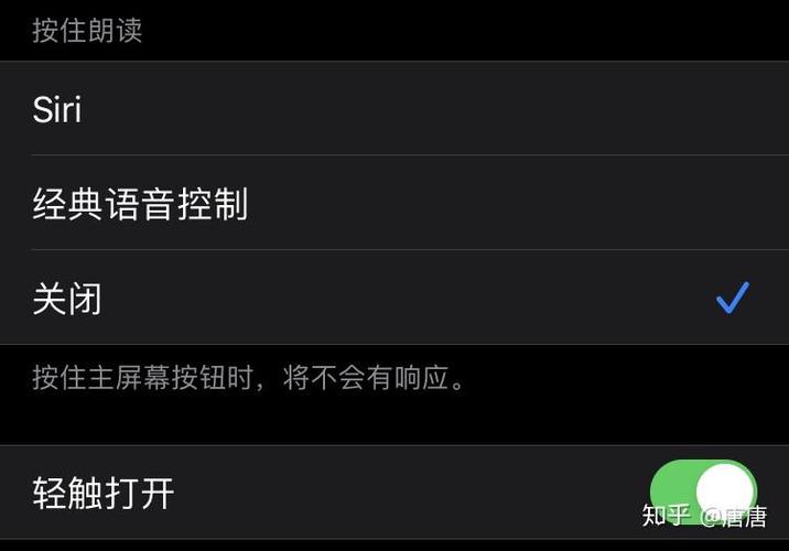 ipad朗读屏幕内容截图