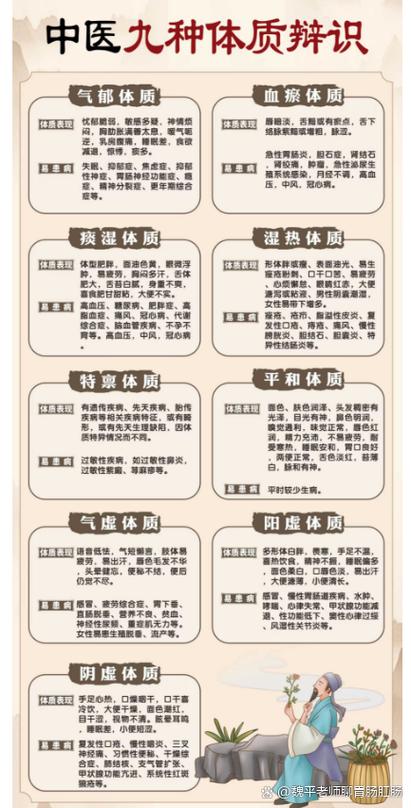 修炼从体质加点开始图标
