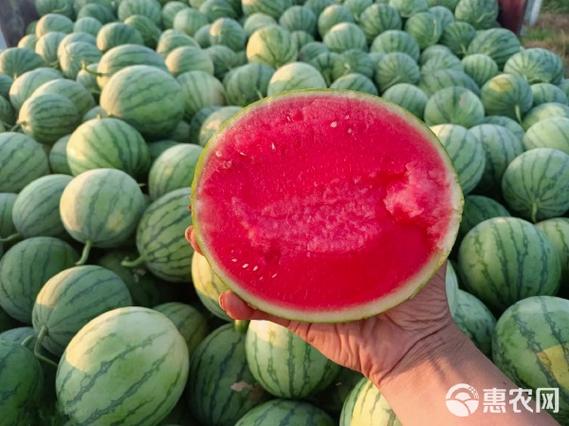 西瓜视频怎么免广告图标