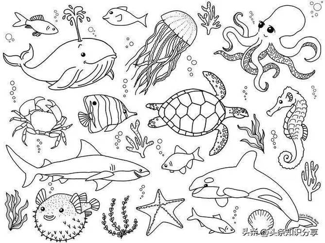 100种海洋生物简笔画截图