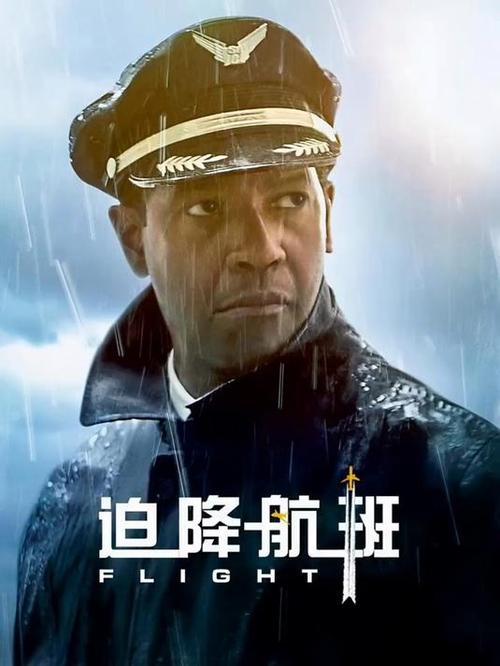 电影《航班迫降》截图