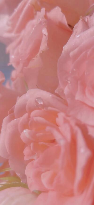 苹果x屏幕一条粉色