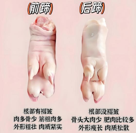 猪爪前后怎么区分图片截图