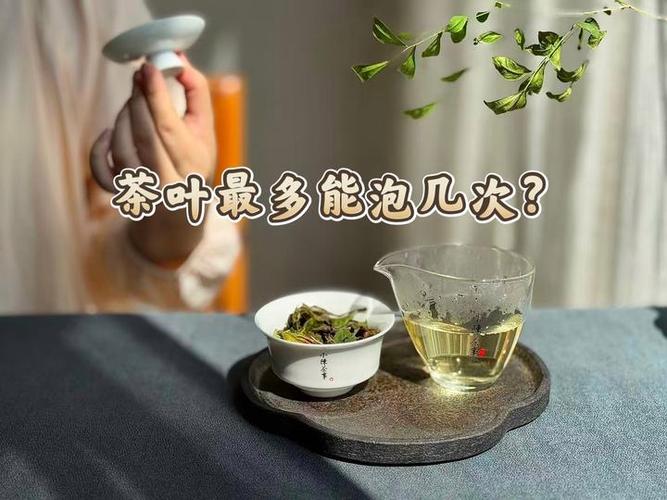 茶一次最多能泡多少次图标