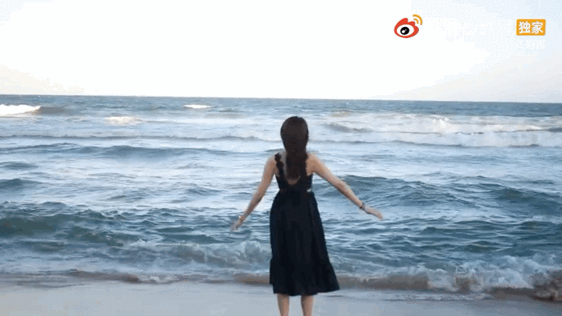 飘逝日记vlog图标