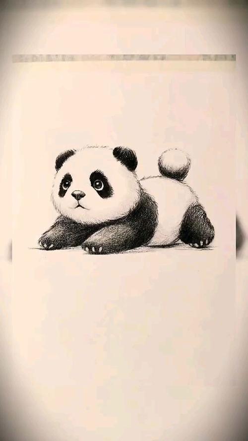 熊猫绘画官方下载图标