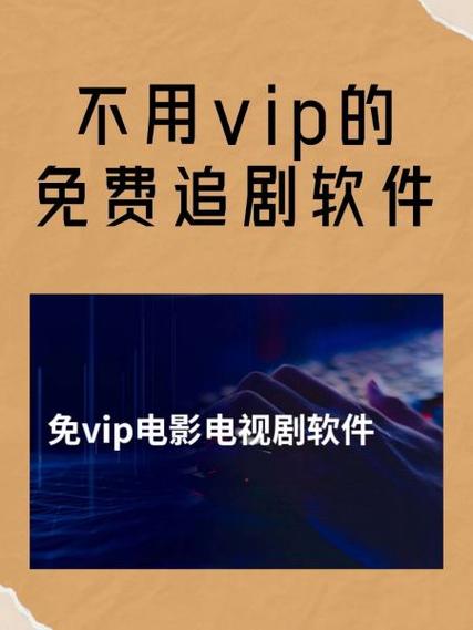 不需要VIP影视软件图标