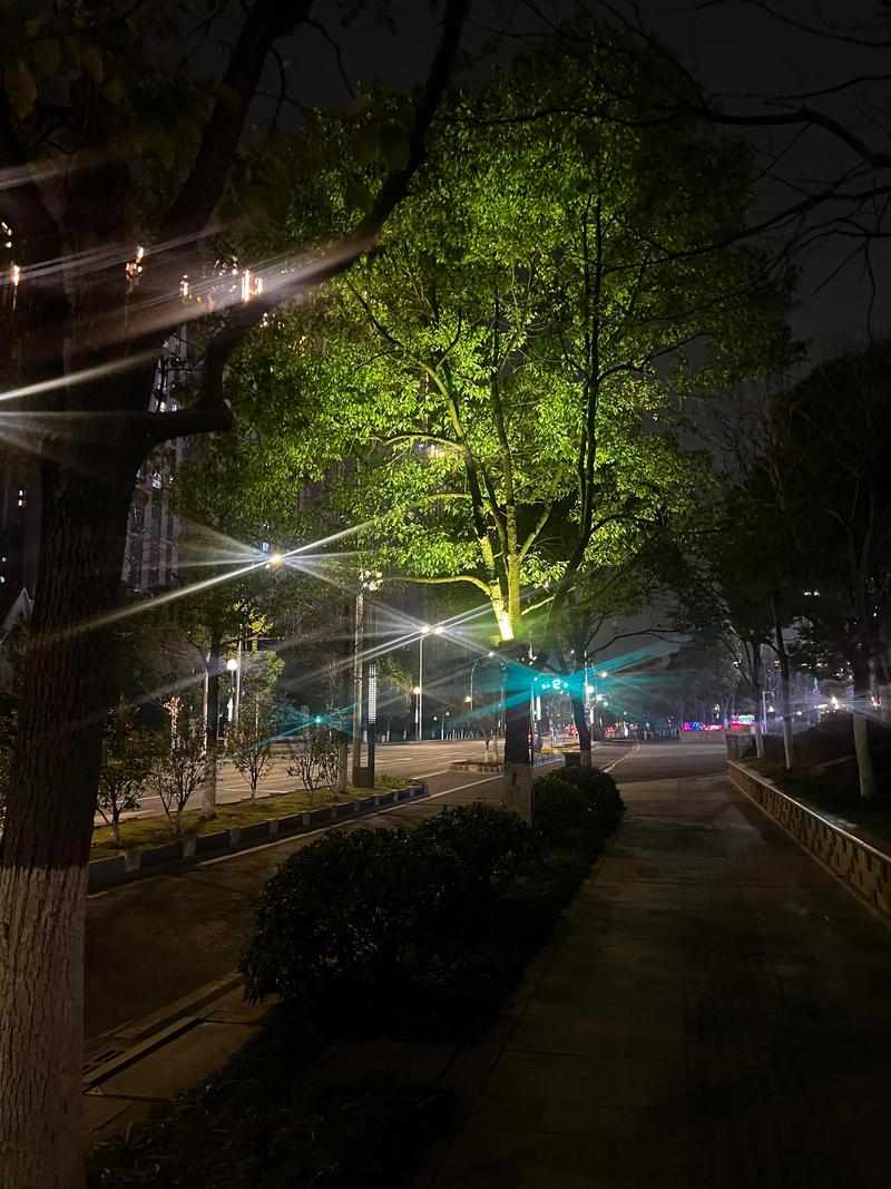 苹果夜间拍照模式怎么开图标
