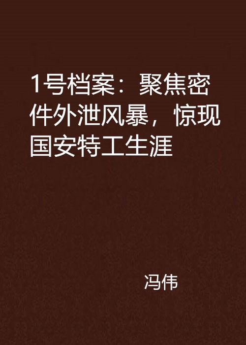 十部顶级国安特工小说图标