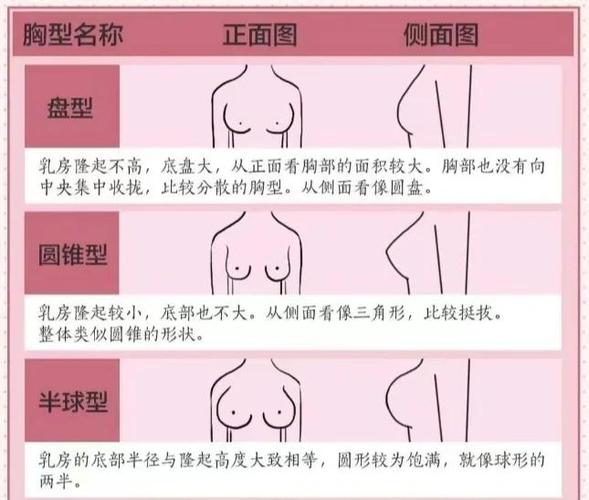38是a还是b罩杯图标