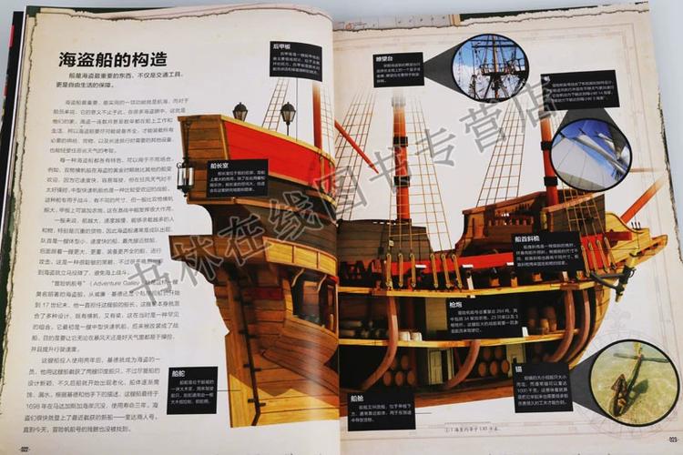 关于科普海盗历史的动画