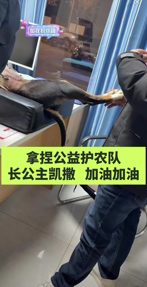 凯撒直装3.0