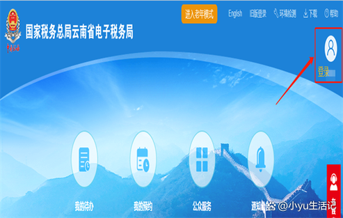 云南省电子税务局官网登录入口网址图标