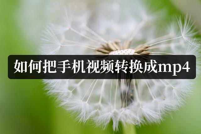 手机视频转化成mp4图标