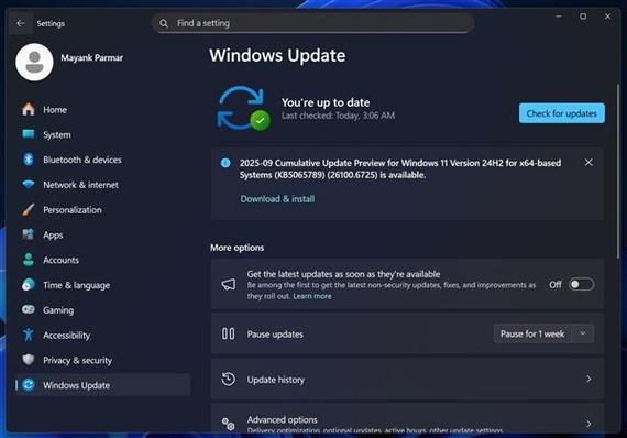 windows11恢复到上一次更新图标