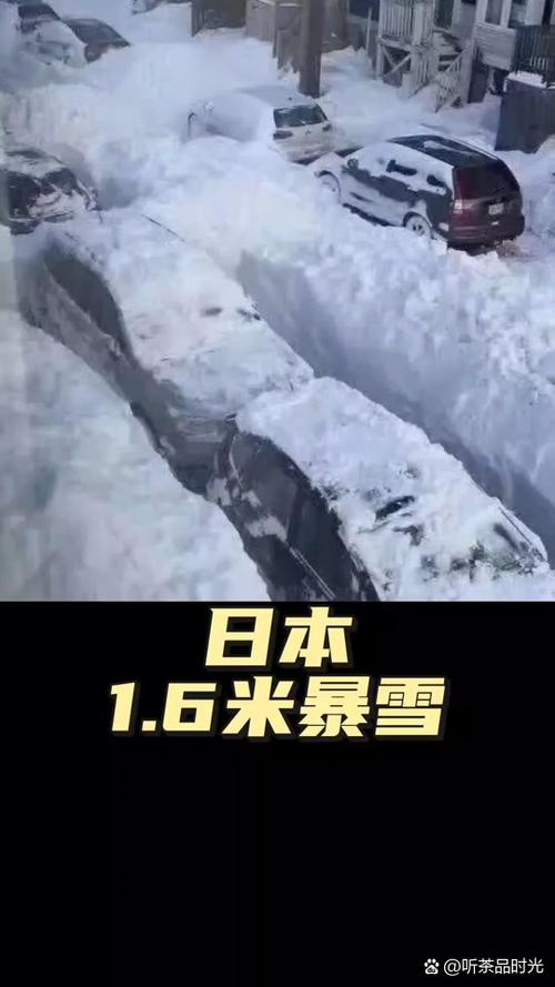 日本2026暴雪最新消息截图