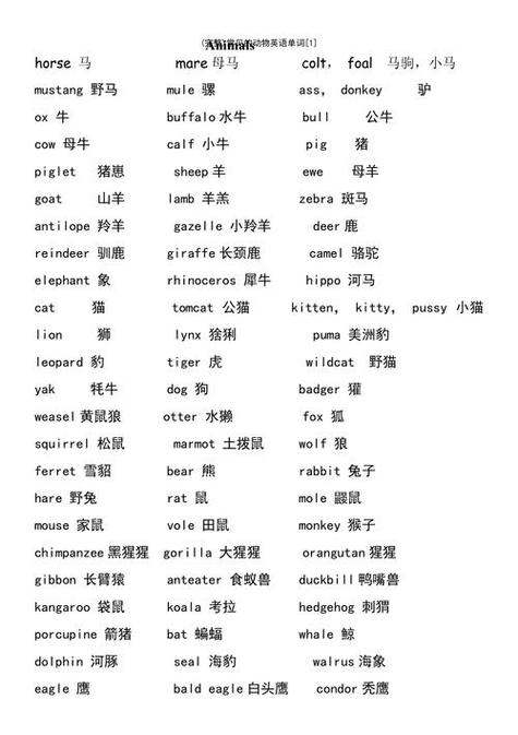 英文单词图标