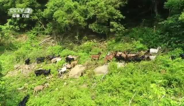 创富牧场图标