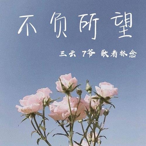 不负所望一般形容什么图标