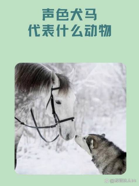 养狗达人领红包图标