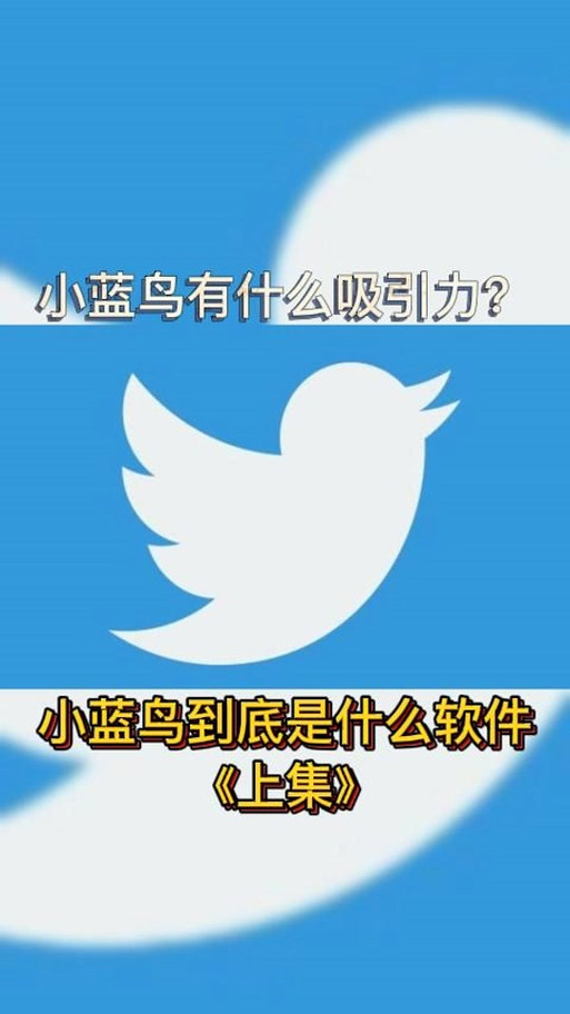安卓推特闪退什么原因截图