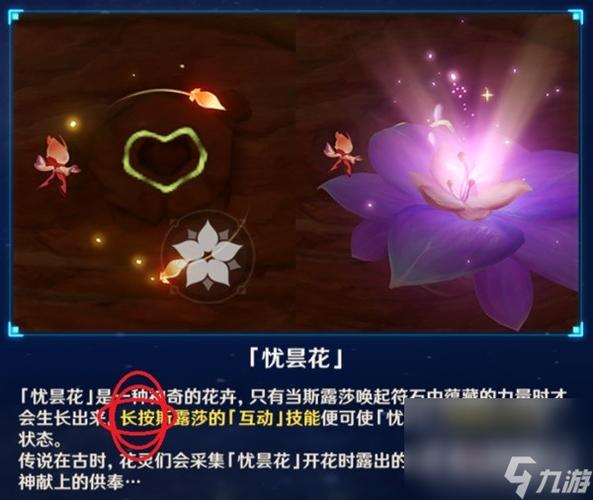 原神忧昙花的花蕊怎么获得