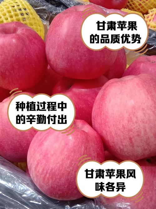 甘肃党建最新版本苹果图标