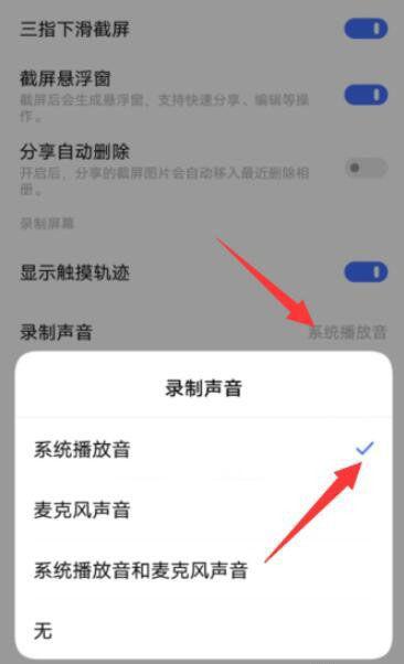 录屏siri声音录不进去怎么办图标