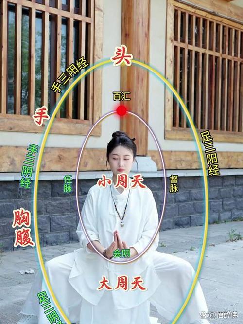 冥想入门训练视频30分钟截图